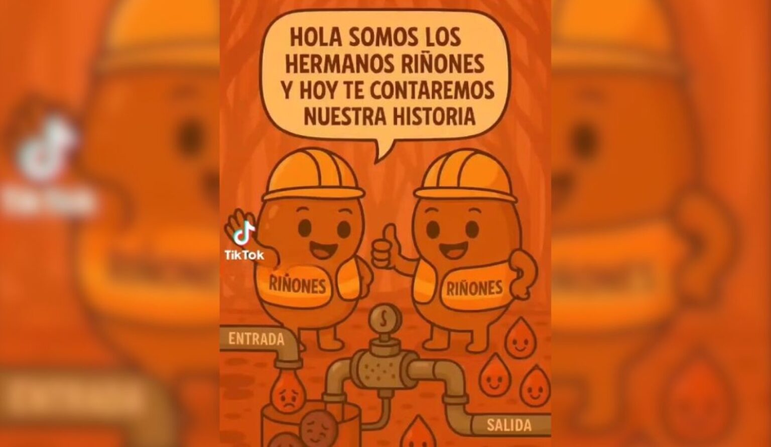 “Los hermanos riñones”: Video viral en TikTok provoca pánico y dispara ...